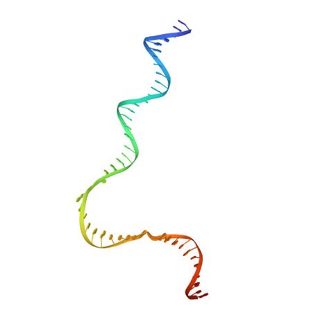Rcsb Pdb 6gml Structure Of Paused Transcription Complex Pol Ii Dsif Nelf