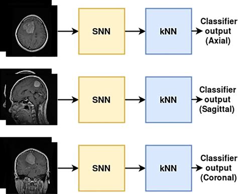 Experimental Set‐up For Modality‐wise Training And Classification Of