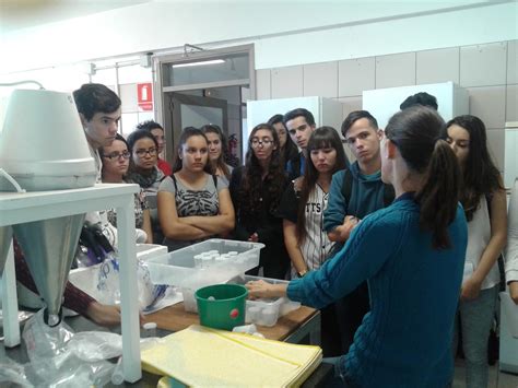 Ampa Ies TomÁs De Iriarte Visita Al Instituto Canario De