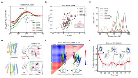 【分析化学学术报告】automated Path Searching Enables The Fine Design Of Selective Gpcr Agonists And High