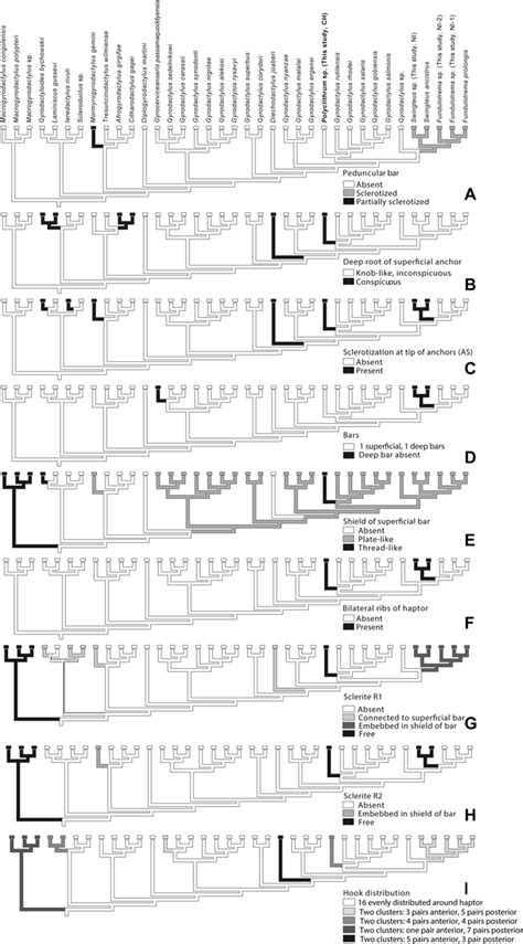 Parsimony Ancestral States Reconstructions Of Relevant Morphological