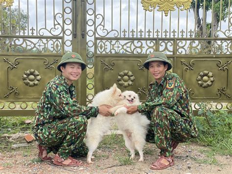 Trung Tâm Huấn Luyện Chó Sài Gòn Dvt
