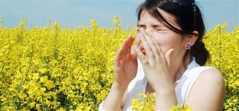 Consejos para prevenir la rinitis alérgica