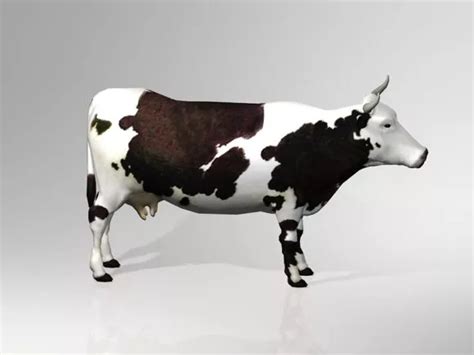 Dairy Farm Cow Free D Model Ds Max Open DModel