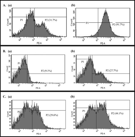 Propidium Iodide Uptake Uptake Of Propidium Iodide By Untreated A Or