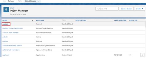 what is custom action in salesforce forcelearn