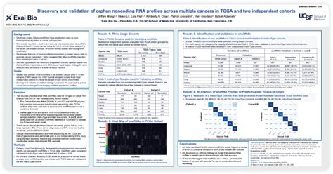 Orphan Rna Profiles Validated In Multiple Cancers