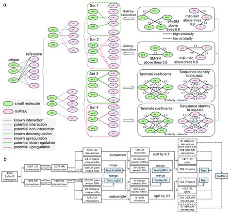 Data Wrangling Of Upregulation And Downregulation Relations A