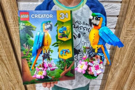 LEGO Creator Egzotyczna papuga Słodko Słodka