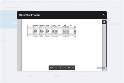 Document Preview