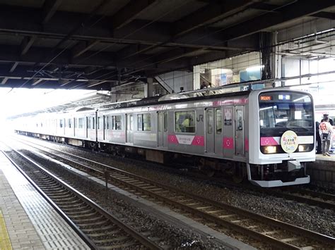 E501 SAKIGAKE