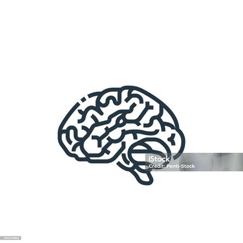 뇌 벡터 아이콘 뇌 편집 가능한 뇌졸중 웹 및 모바일 앱 로고 인쇄 매체에 사용하기 위한 두뇌 선형 기호입니다 얇은 선 그림