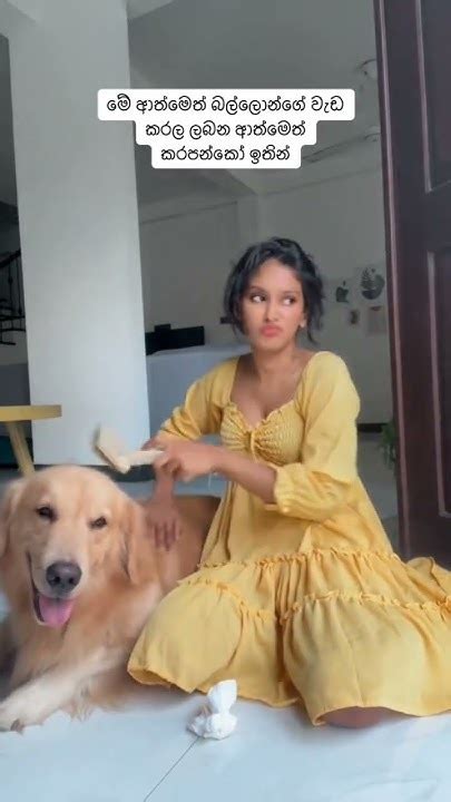 අහක බලන් යන්න Please 😫 Youtube