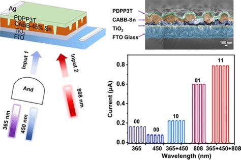Ultraviolet Visible Near Infrared Broadband Photodetector Enabled By