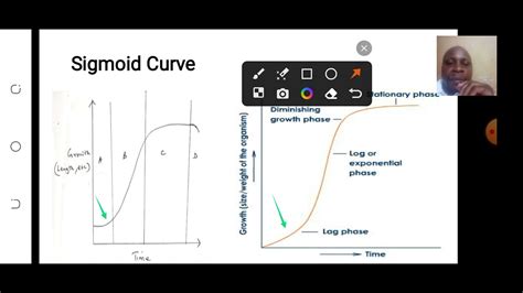 Lesson2 Growth Patterns And Sigmoid Curve Youtube