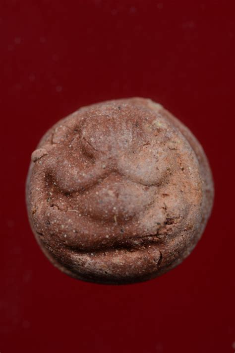 พระปิดตาเม็ดกระดุม พ่อท่านคลิ้ง พ ศ 2523 สร้าง 1 000 องค์ หายากครับ กล่องพระสแตนเลส