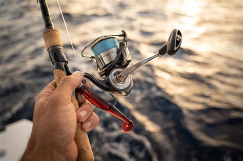 How to Catch Flathead on Soft Plastics (Flathead Series) – Daiwa Australia