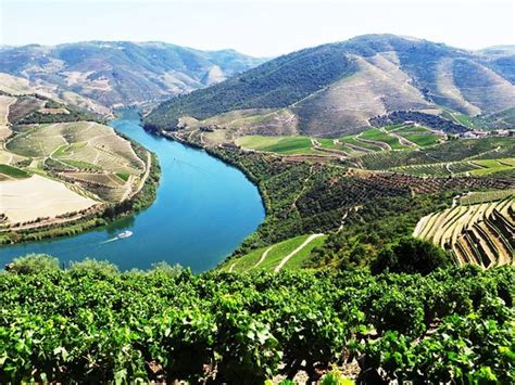 Wine Knows Fine Wine And Gourmet Food Journeys For The Discerning Traveler