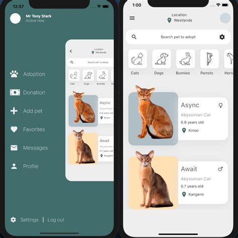 Github Kharioki Pet Store A Pet Store App Ui Implemented With Flutter