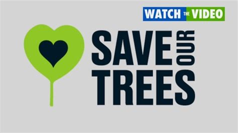 Conservation SA Push Tree Law Change To Include Canopy Not Just Circumference Herald Sun