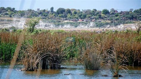 El preocupante avance sobre los humedales del oeste de Paraná