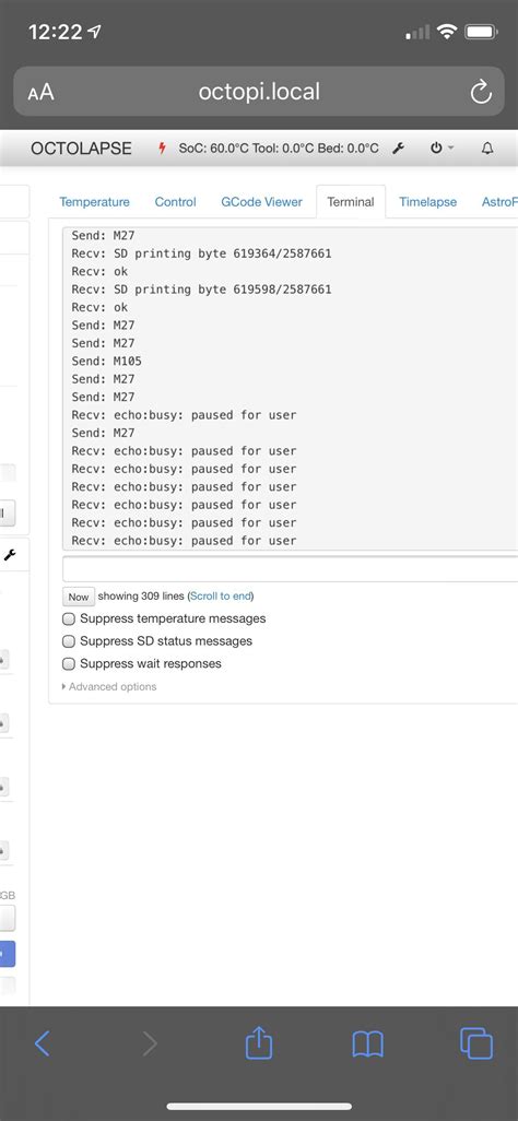 Question About Pause In Some Prints After A Little While I Get A