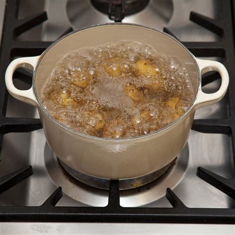 Pot Of Boiling Water Stock Image Image Of Crockpot Steaming 5336969