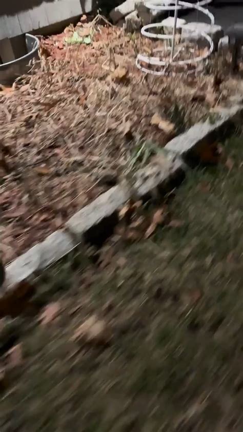 You Never Know Whats Lurking In The Dark Rfullyloadedclips88