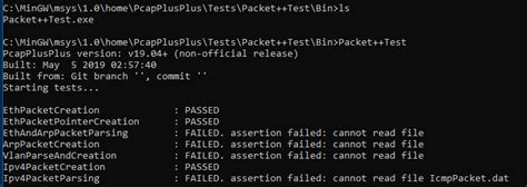 Unable To Use Run Tests Mingw W64 · Issue 191 · Seladbpcapplusplus