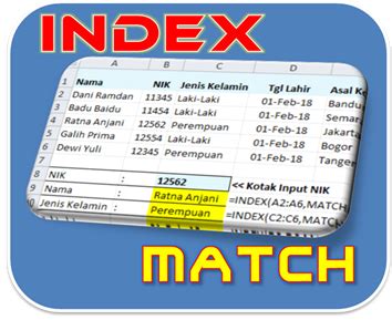 Contoh Rumus Excel Praktis Menggali Informasi Dengan Rumus Index Match