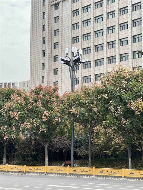 樱鹤 河南垂天智能制造有限公司