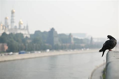 Из Рязанской области начали выводить тушивших леса пожарных Коммерсантъ