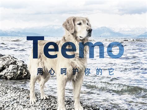 Teeom宠物食品包装 狗粮 猫粮 冻干包装设计 Logo深化戈多创艺 站酷zcool