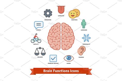 Brain Function Icons Set Icons ~ Creative Market