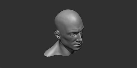 Male Head Realistic Base Mesh Blender Market