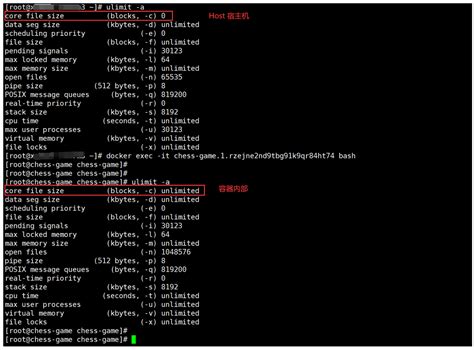 Linux 系统为何产生大量的 Core 文件？core文件 Csdn博客