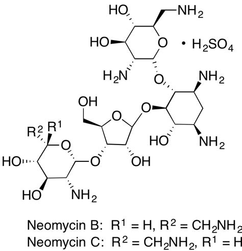 Neomycin Sulfate LKT Labs