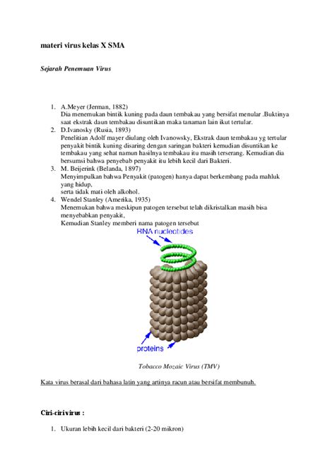 Doc Materi Virus Kelas X Sma