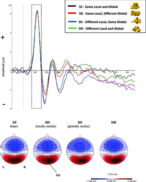 A Grand Average Erps Top And Associated Topographies Bottom As A Download Scientific
