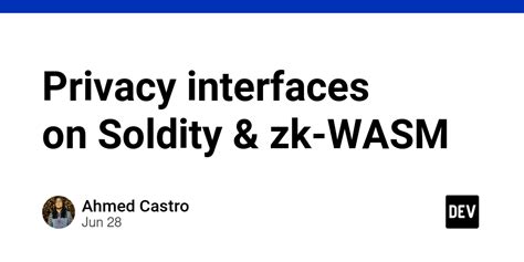Privacy Interfaces On Soldity And Zk Wasm Dev Community