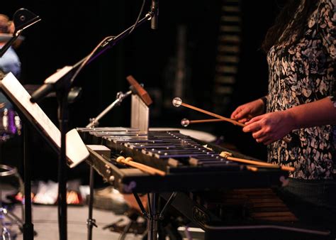 13 Best Musical Instruments That Start With the Letter L - Singersroom.com