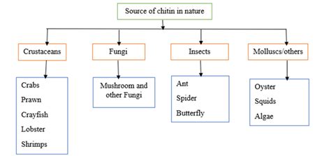 Sources And Applications Of Chitin A Review