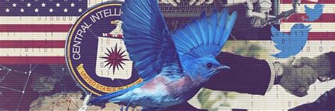 How Social Networks Became A Subsidiary Of The FBI And CIA 10 Mehr