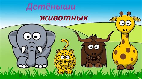 Детёныши животных Обучающие и развивающие видео для детей Youtube