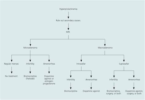 Pituitary Stalk Lesion Clinical Features Mapametawan