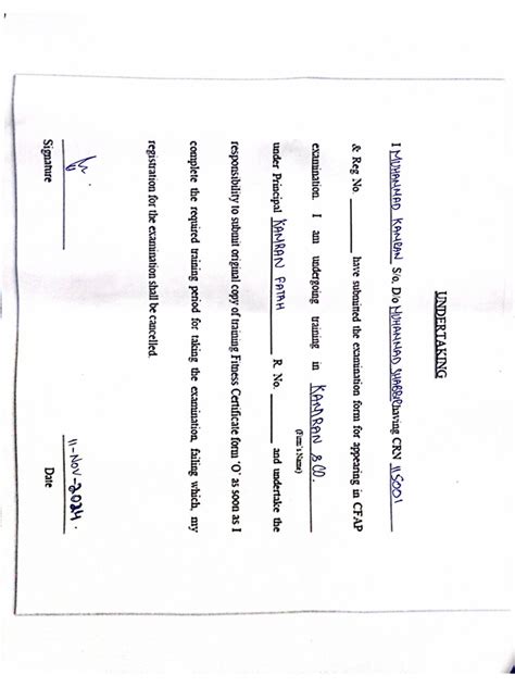 Undertaking Pdf