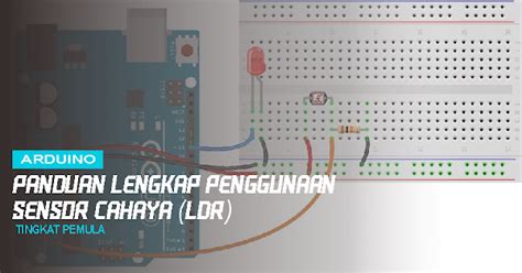 Panduan Lengkap Penggunaan Sensor Cahaya Ldr Menyelami Dunia Sensor