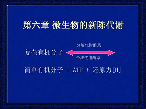第六章 微生物的新陈代谢word文档在线阅读与下载无忧文档