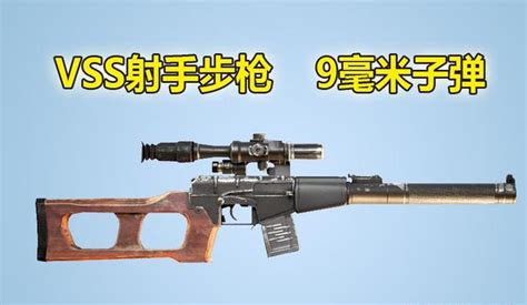 和平精英中谁是“最强”射手步枪，mk14称王，sks惜败slr只排第三mini