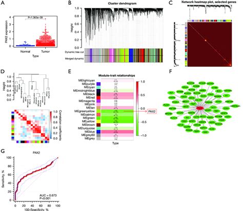 Differential Expression Analysis And Wgcna Analysis Of The Genes In The